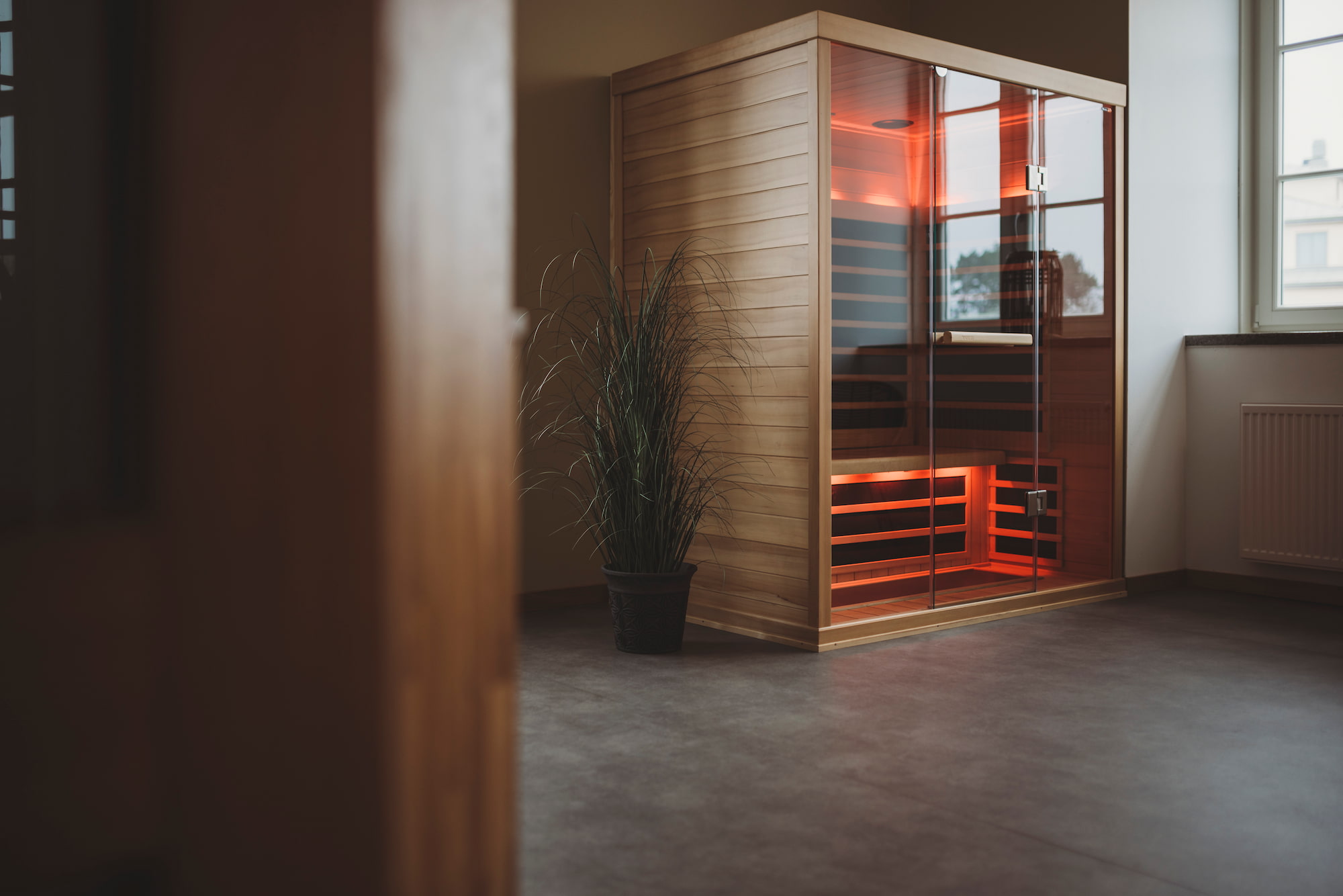 Explore the world of saunas: Which one is right for you?